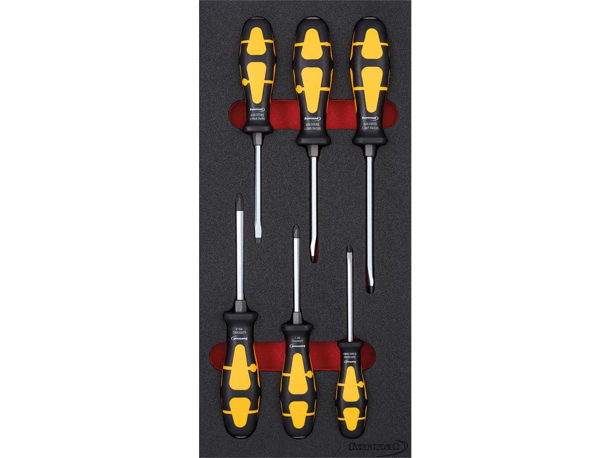 Module screwdriver - WEMAG What it takes to be a pro