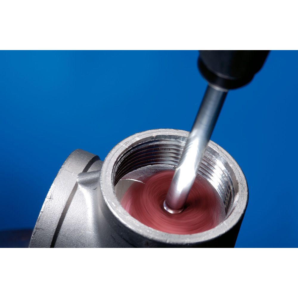 Cross buffs Polinox - WEMAG What it takes to be a pro